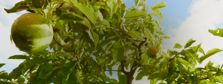 FEED | Fashion That Gives Back